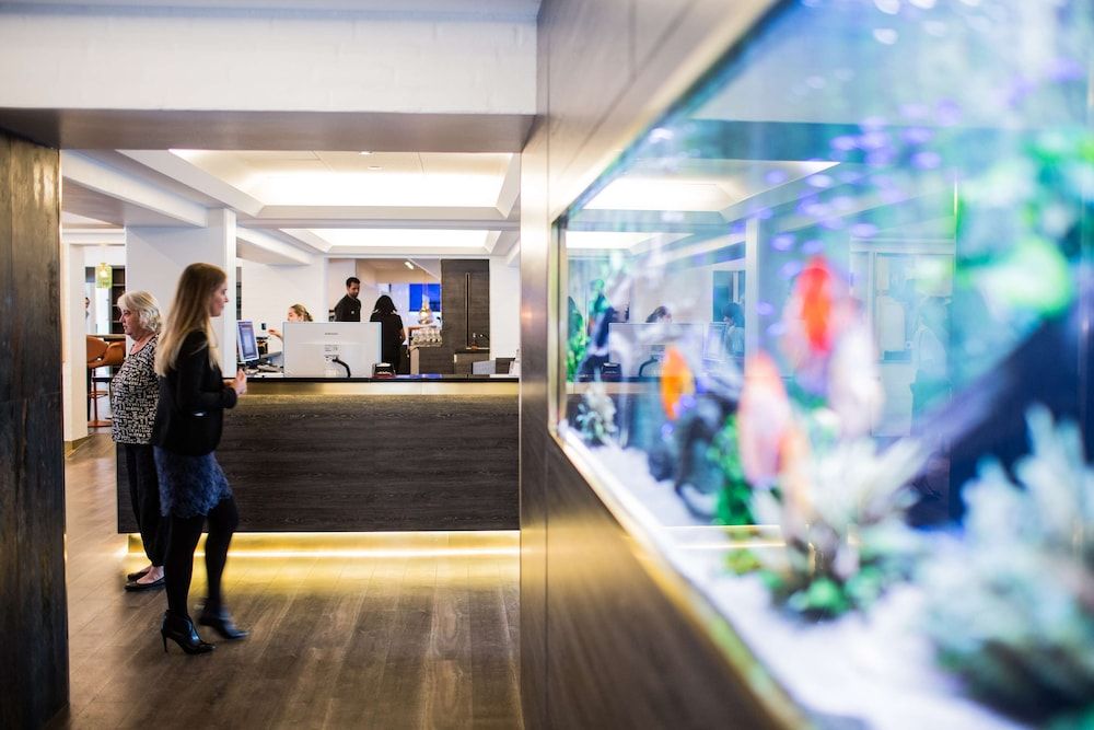 Radisson Blu Limfjord Hotel Aalborg in Ålborg - de beste aanbiedingen!