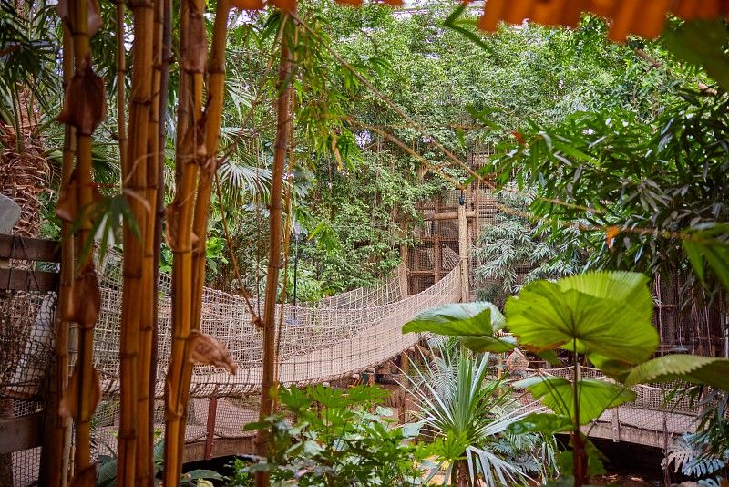 Center Parcs Hotel Het Heijderbos in Heijen - de beste aanbiedingen!