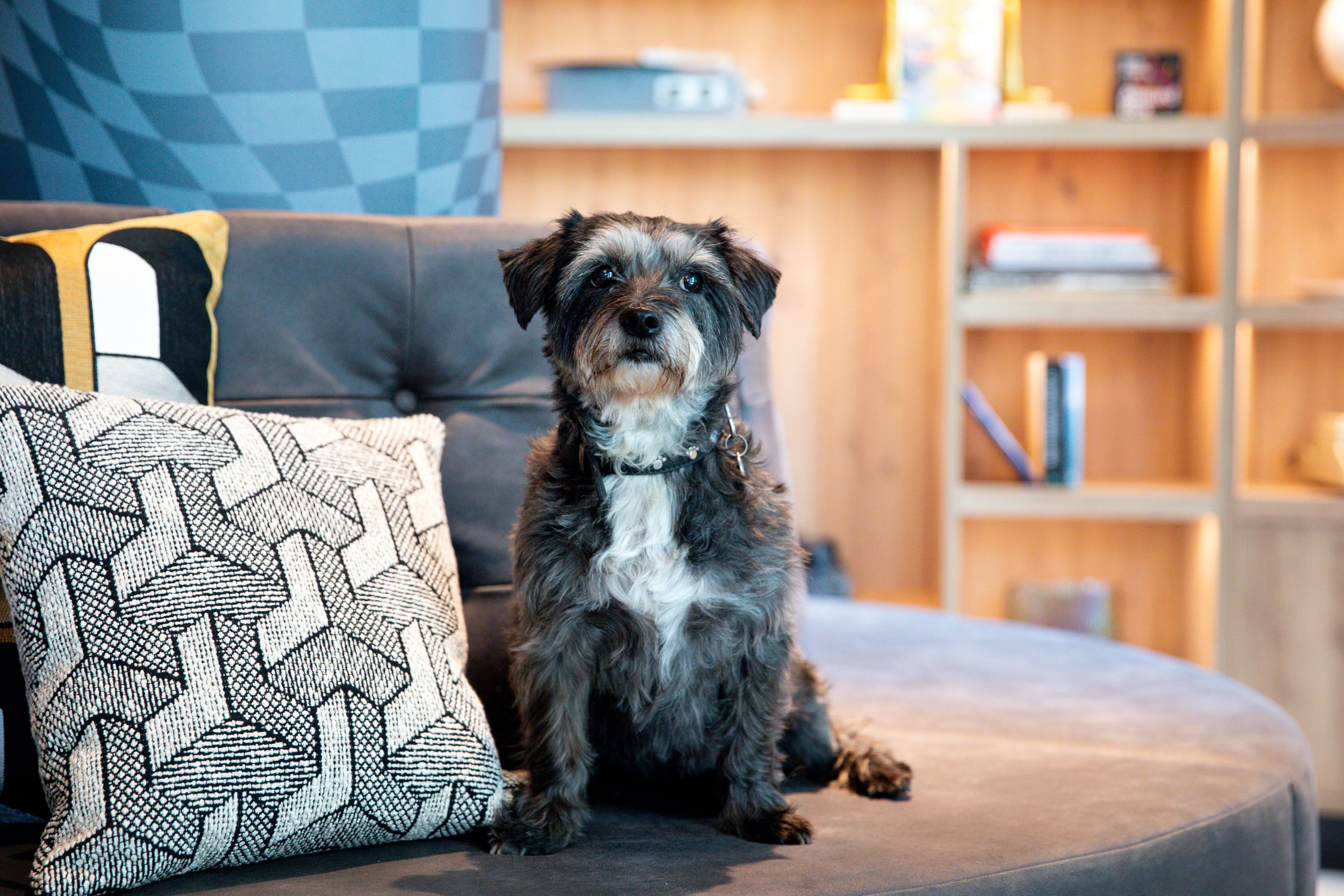 Moxy the Hague in Den Haag | Vanaf € 125